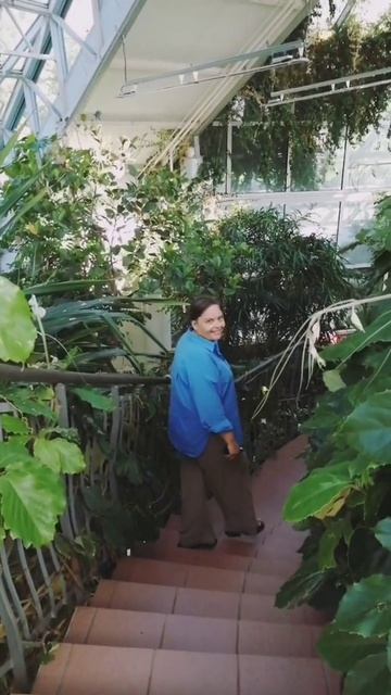 Ресурсные прогулки. Август 2024