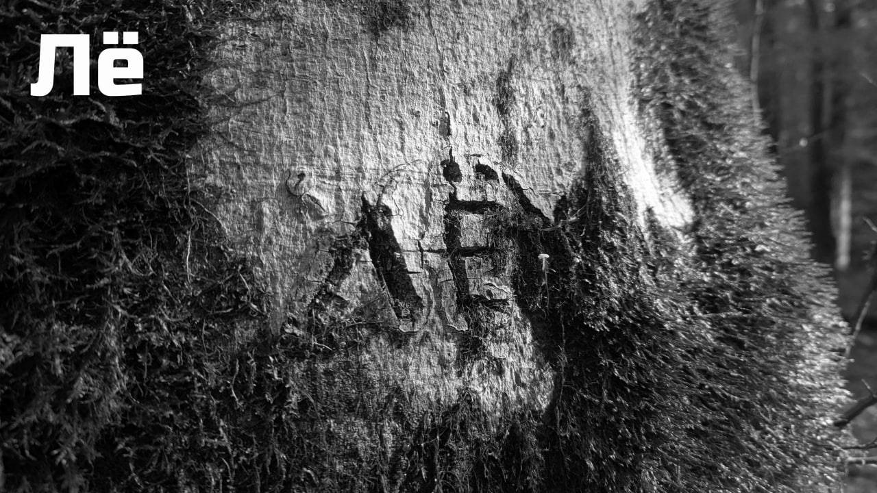 Про осенний лес и грибы.