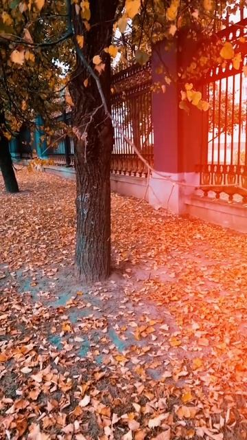 Ресурсные прогулки. 05.10.2025