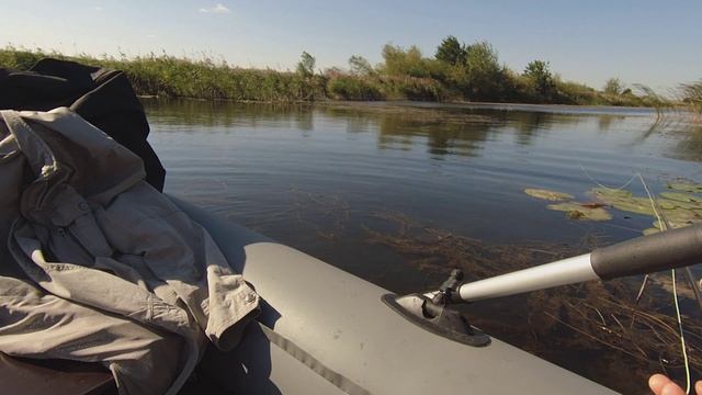 Попросили наловить живцов