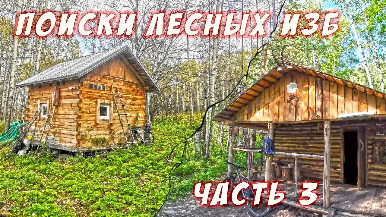 В поисках лесных избушек на велосипеде. Часть 3