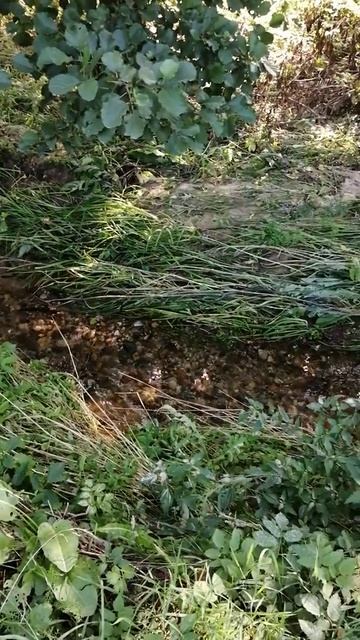 Ресурсные прогулки. Август 2024