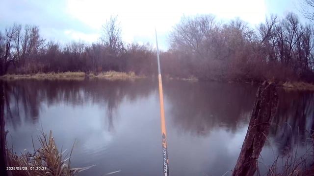 Ловля на Старице на Боковой Кивок 🎣 Наживка мотыль и опарыш. Прикормка Dunaev (Плотва).