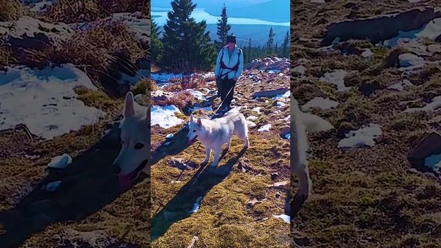 💖Яркий день на Зюраткуле