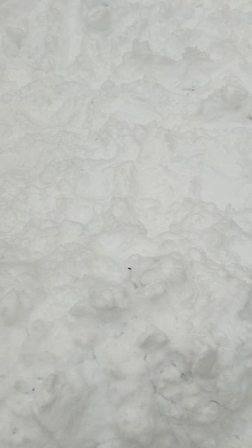 нашли Тунг Тунг Хамона 🙃🤯🫣😨