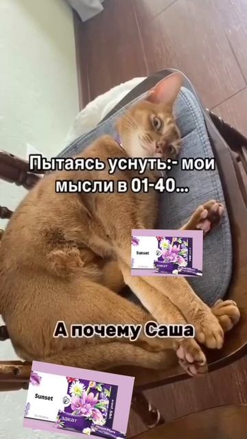 Из мысленной бури  в объятия Морфея за секунду