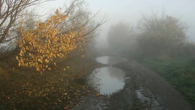 Поздняя осень-25