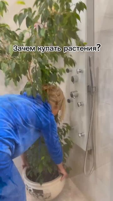 Раз в месяц мы купаем практически все растения! Они обожают душ, мы смываем с листьев насекомых, сни