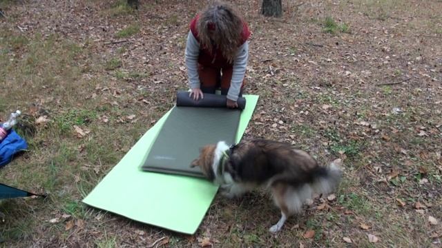 РЭКС осень2025.зарисовка 2 домой