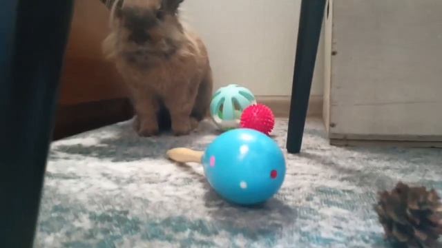 Хороша с любой стороны 🥰🐰