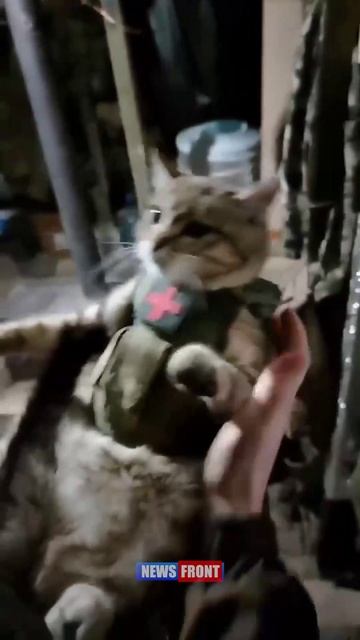 Аптечка для души русского бойца