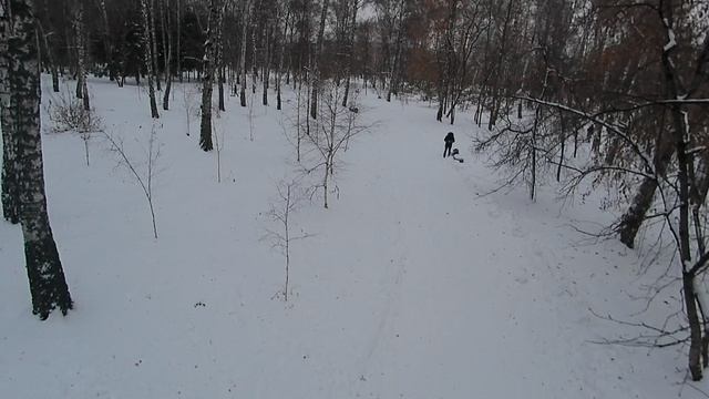 mobula 8 + RunCam Thumb Pro W полет пятый. Снег. Березовая роща