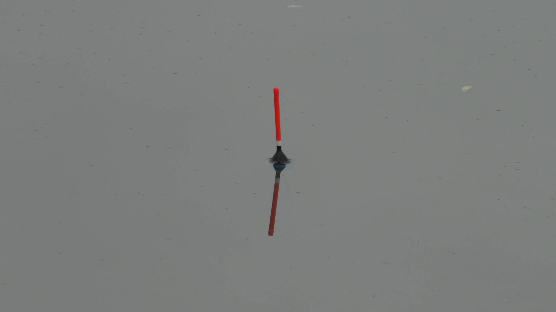 Клюёт на каждом опускании снасти . Рыбалка на поплавок