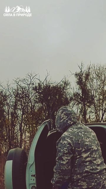 Рыбалка на донку в ноябре осенью 2025