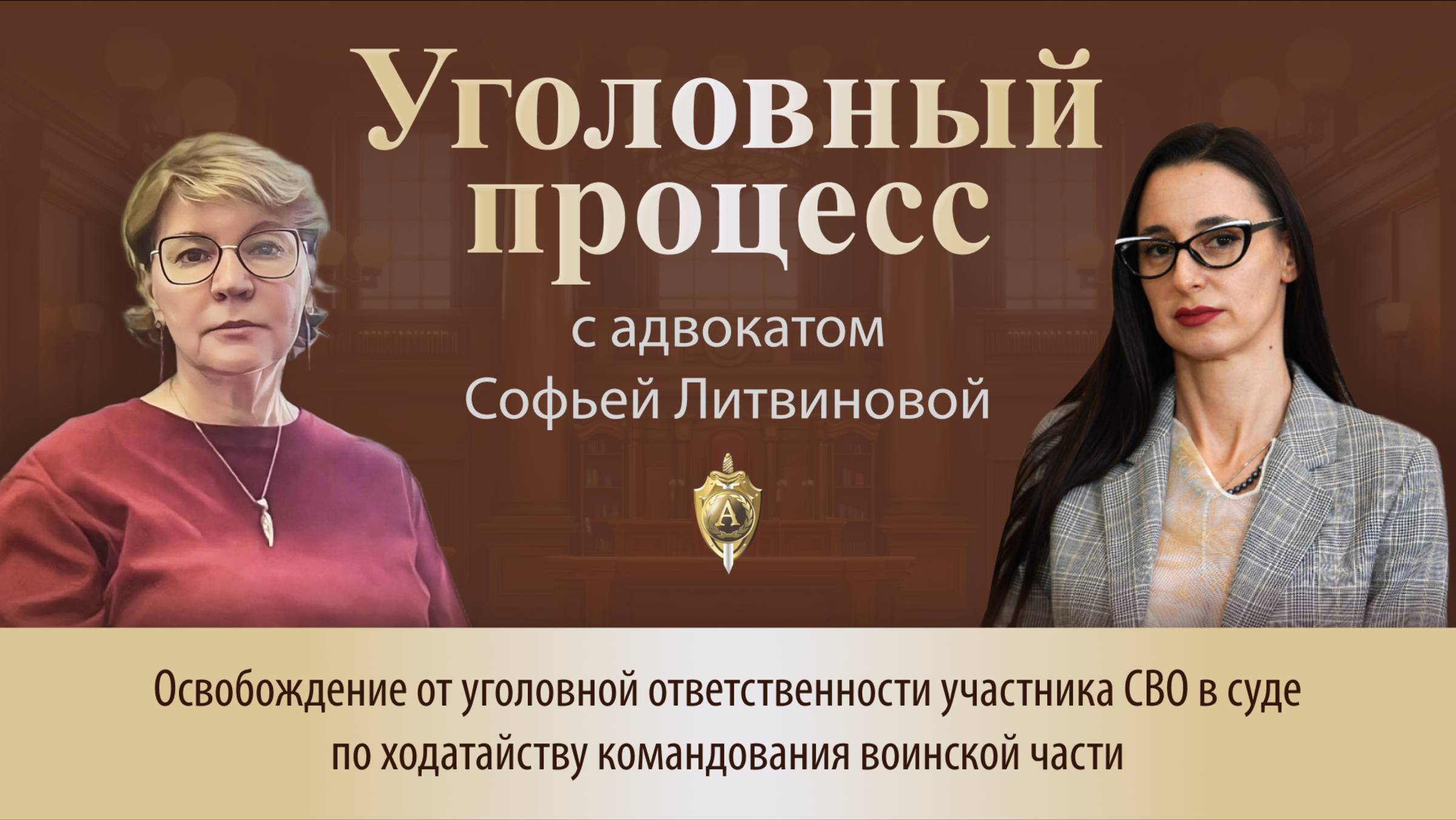 Выпуск 276. Освобождение от уголовной ответственности участника СВО в суде