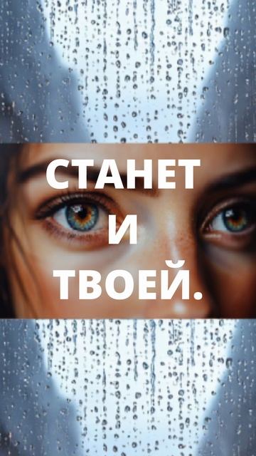 Каменные кошки 12 #КаменныеКошки