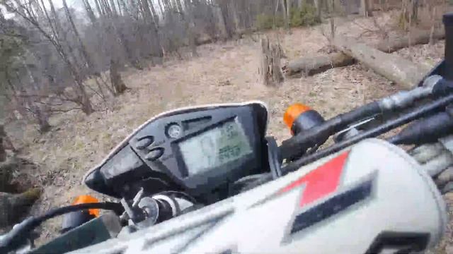 Катаюсь в лесу 10