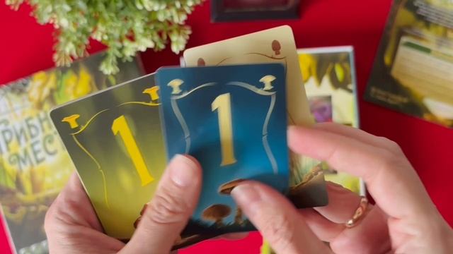 Распаковка Настольная игра «Грибные места»🍄