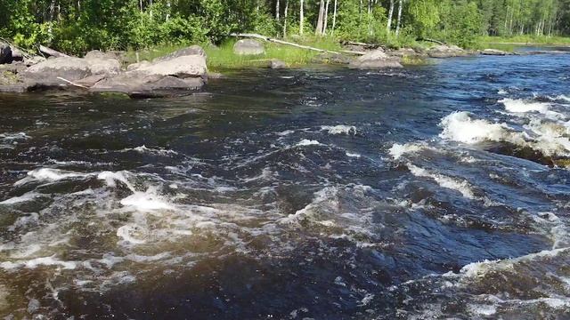 ТРЕК- САНЯ из фильма КАРЕЛИЯ. Река ОНДА. 2025 год. Конец июля - начало августа.(HD)