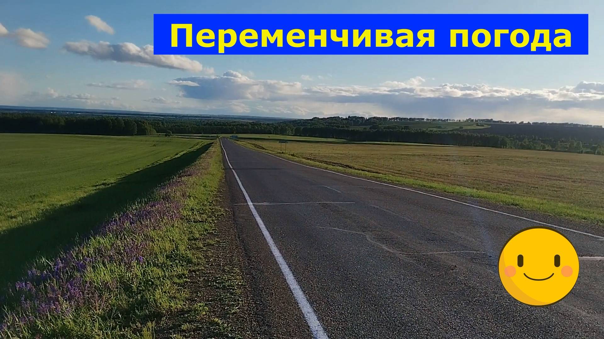 VLOG 25-27.05.2025г. Чоник сбежал. Захар учится косить траву. Кирилл сдаёт первый экзамен. #семья