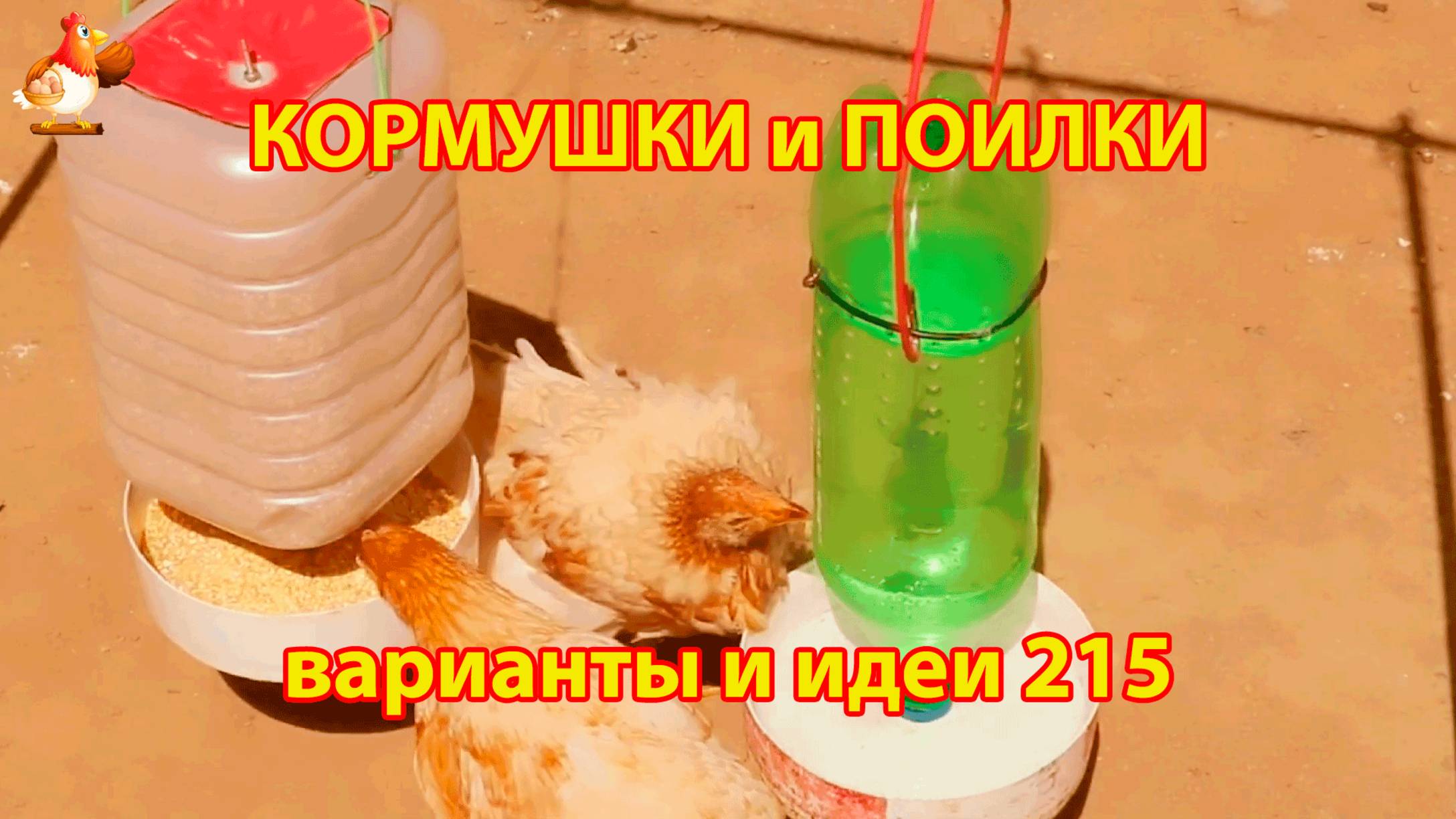 Кормушки и поилки для кур своими руками (215) 🪚✂️ Пошаговая инструкция как сделать 🐔 🐓❣️