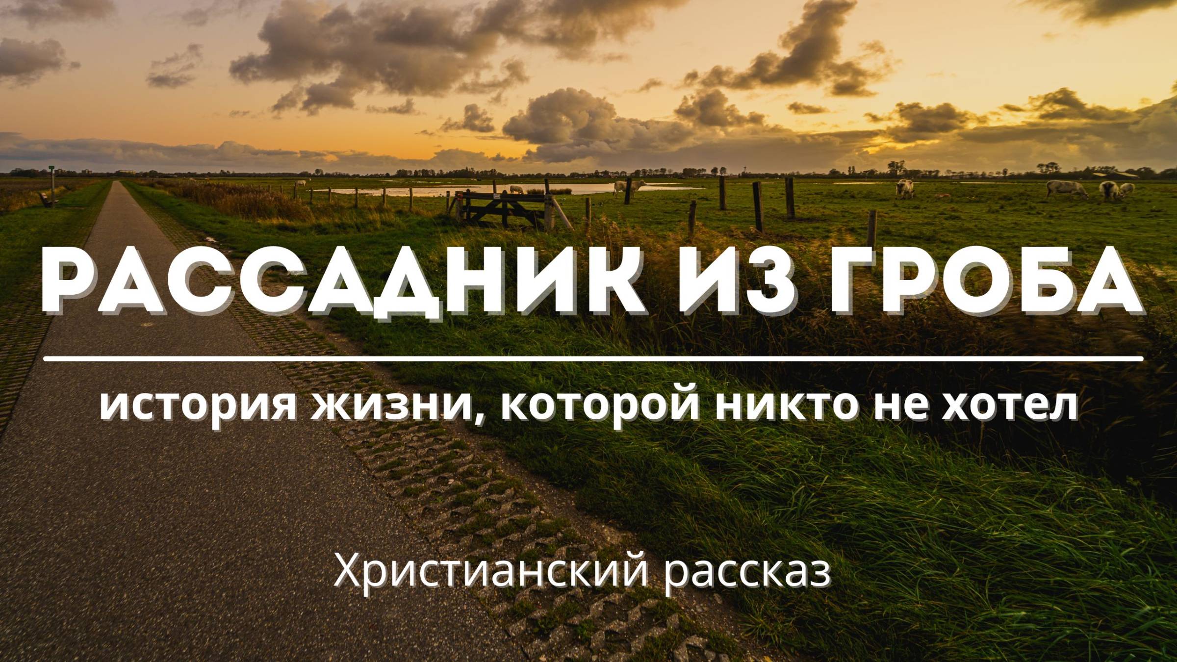 Рассадник из гроба история жизни, которой никто не хотел | Березов Родион Михайлович