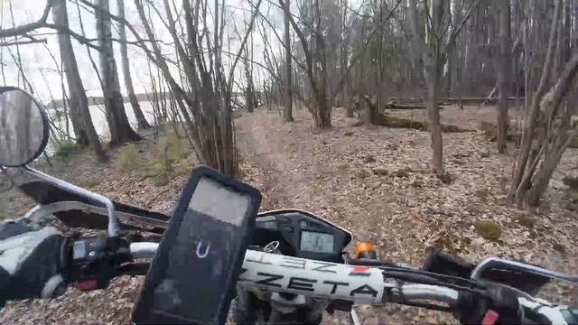 Катаюсь в лесу 6