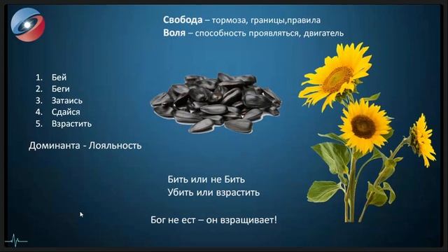 Тема 7 Эзотерика. Курс 2025 года