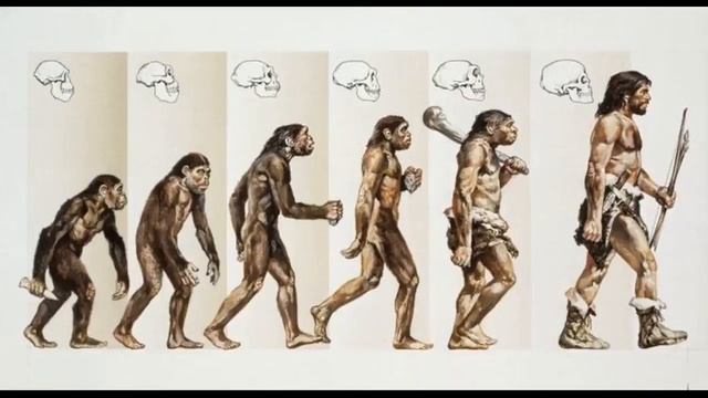 24  Анализ четвёртой заповеди (субботний покой и эволюция), Тема № 24 (А.Бокертов)