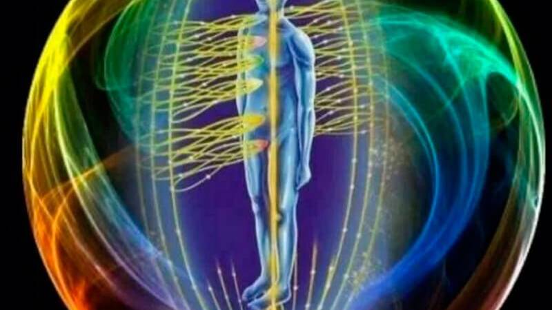 что такое матрица человека