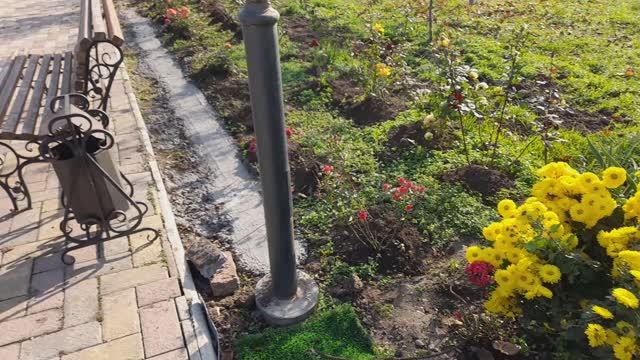 Они погибли за Родину на СВО. г. Георгиевск.