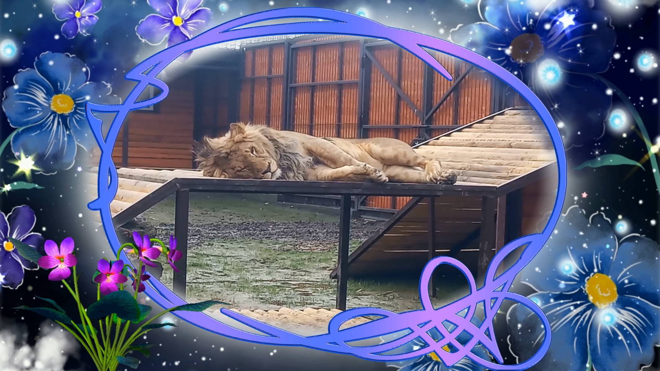 Спокойной ночи!