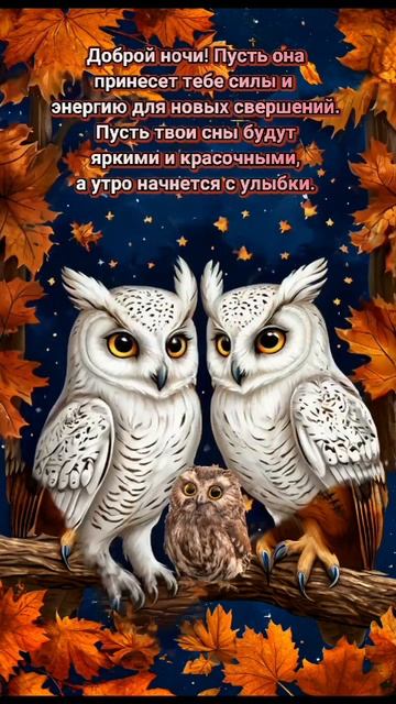 Спокойной ночи, сладких снов 👍🤗