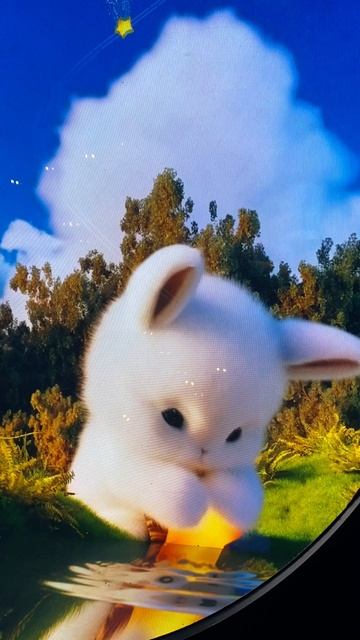 Кроличья нора. Краснодар. Городской парк.