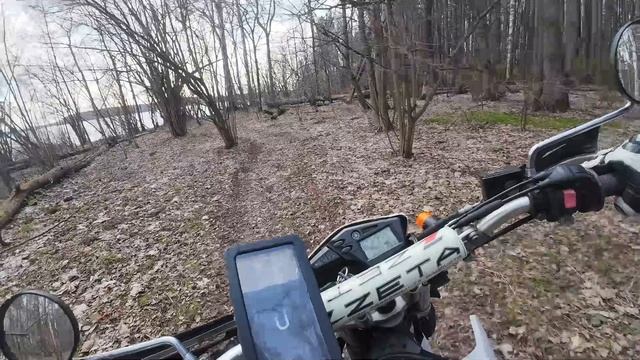 Катаюсь в лесу 5