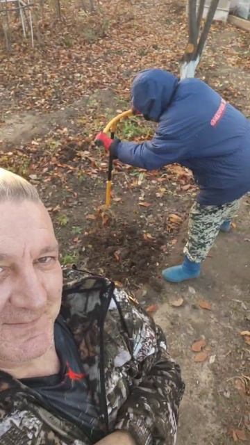 Копает картошку!