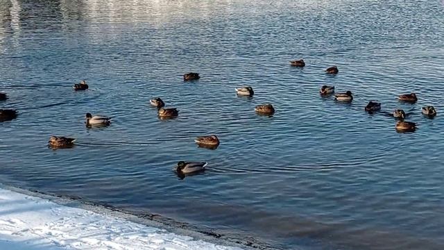 Юг Сибири начало ноября — 2025