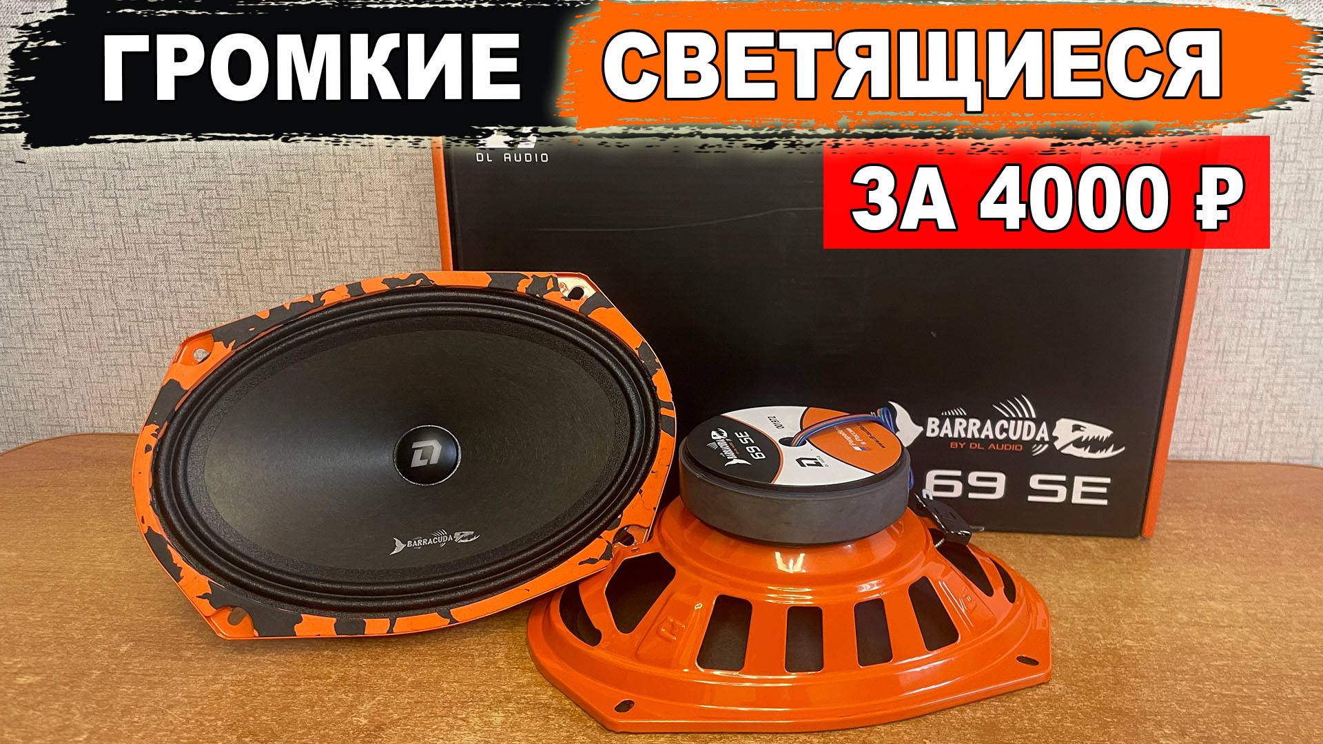 Громкие светящиеся овалы за 4000₽ в заднюю полку! DL Audio Barracuda 69 SE