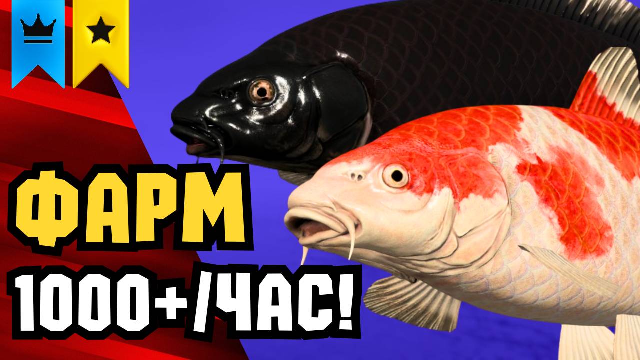 🤑 НОВЫЕ ТОЧКИ ФАРМА РР4! Раздача ТРОФОВ • КОМАРИНКА •  МЕДНОЕ • НОРВЕЖКА