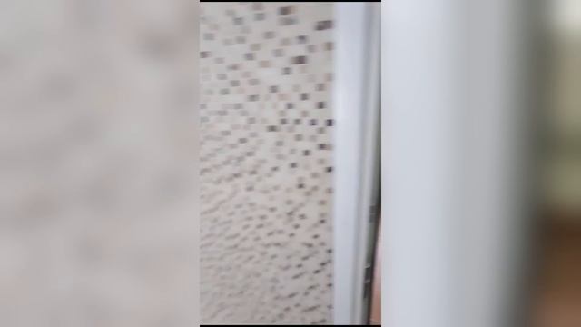 Некон в домашнем бассейне