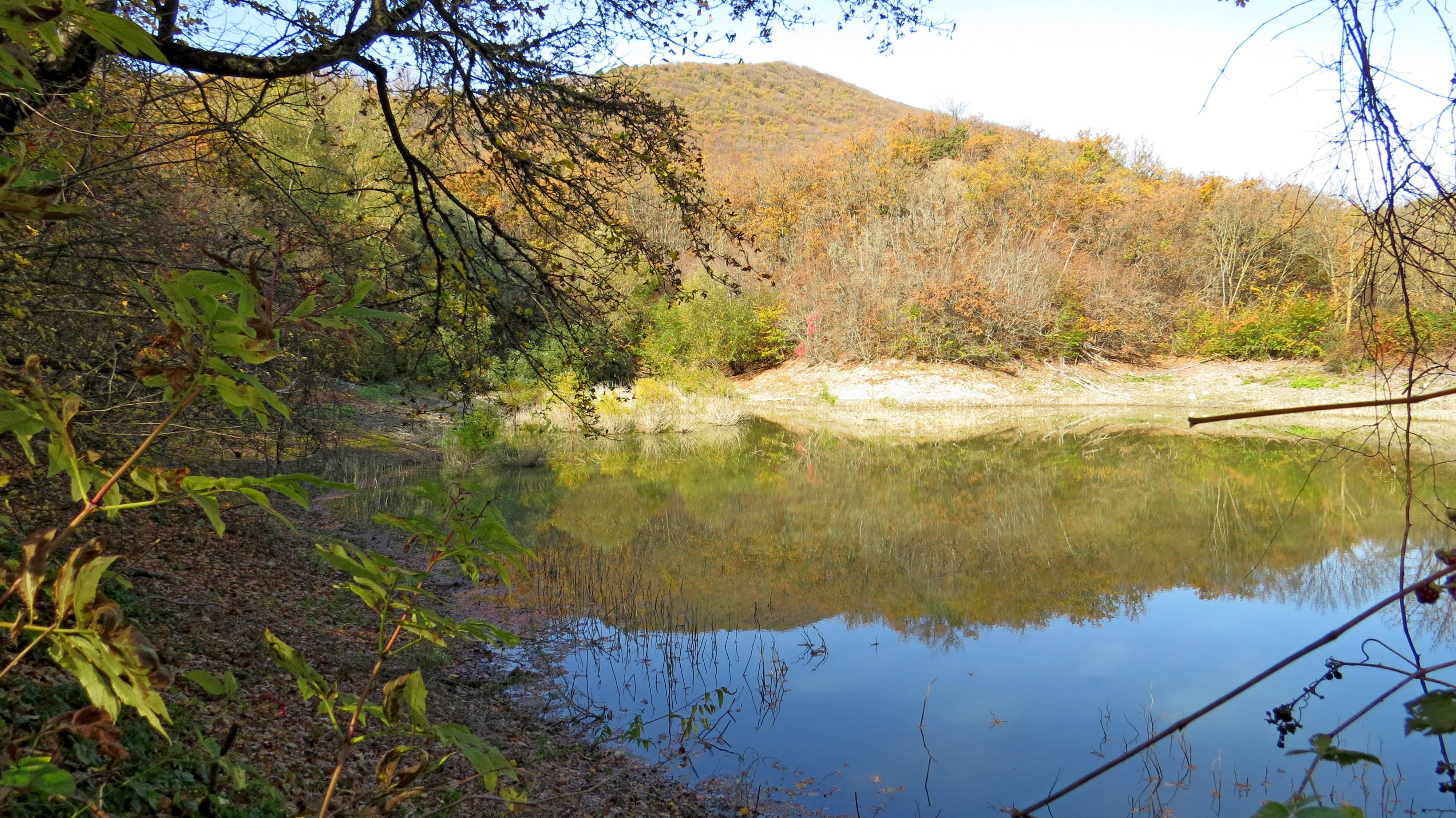 Вокруг Лесного озера за Щебетовкой