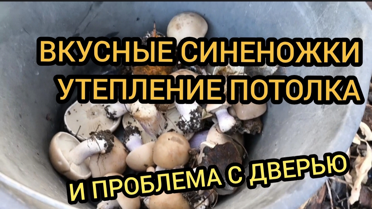 Утепляем потолок, едим синеножки. Проблема с входной дверью 2-3.11.2025