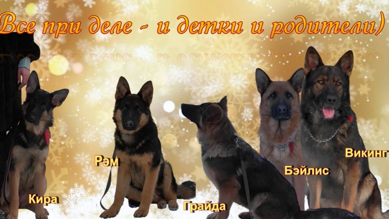 Детки и родители. Все при деле.