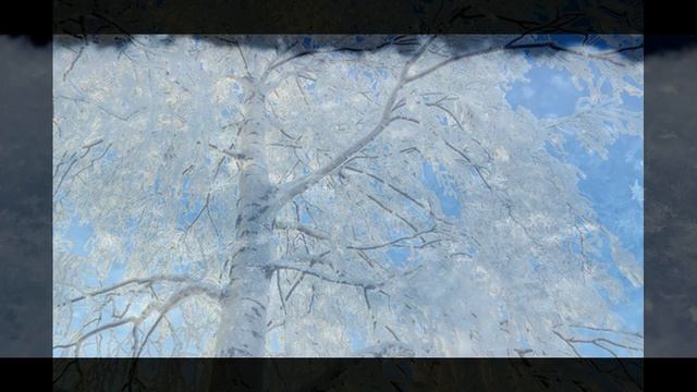 Сергей Макиенко. Зима приносит вдохновенье