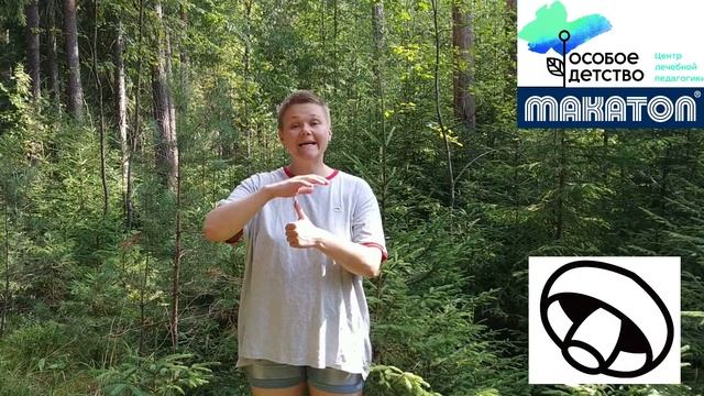 Гриб - понятие месяца. Макатон: давай поговорим