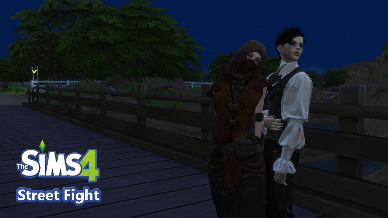 The Sims 4 Street Fight Animations - Download