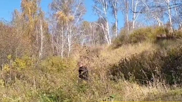 Ольгополька 2025