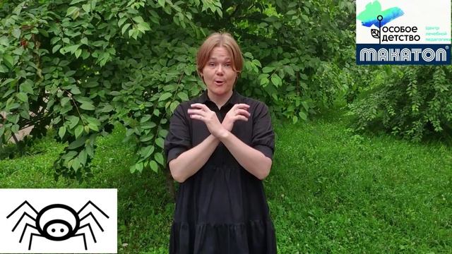 Паук - понятие месяца. Макатон: давай поговорим