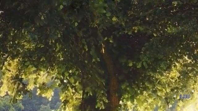 Истории из жизни|Случайное знакомство по SMS|Аудио рассказы|Аудиокниги слушать онлайн|Жизненные