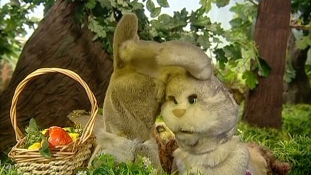 Лучший подарок | Лесные истории (0+)